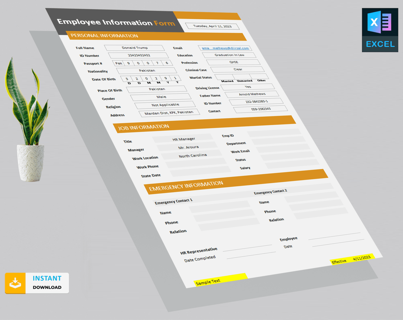 Employee Information Form Template – Editable HR Data Collection