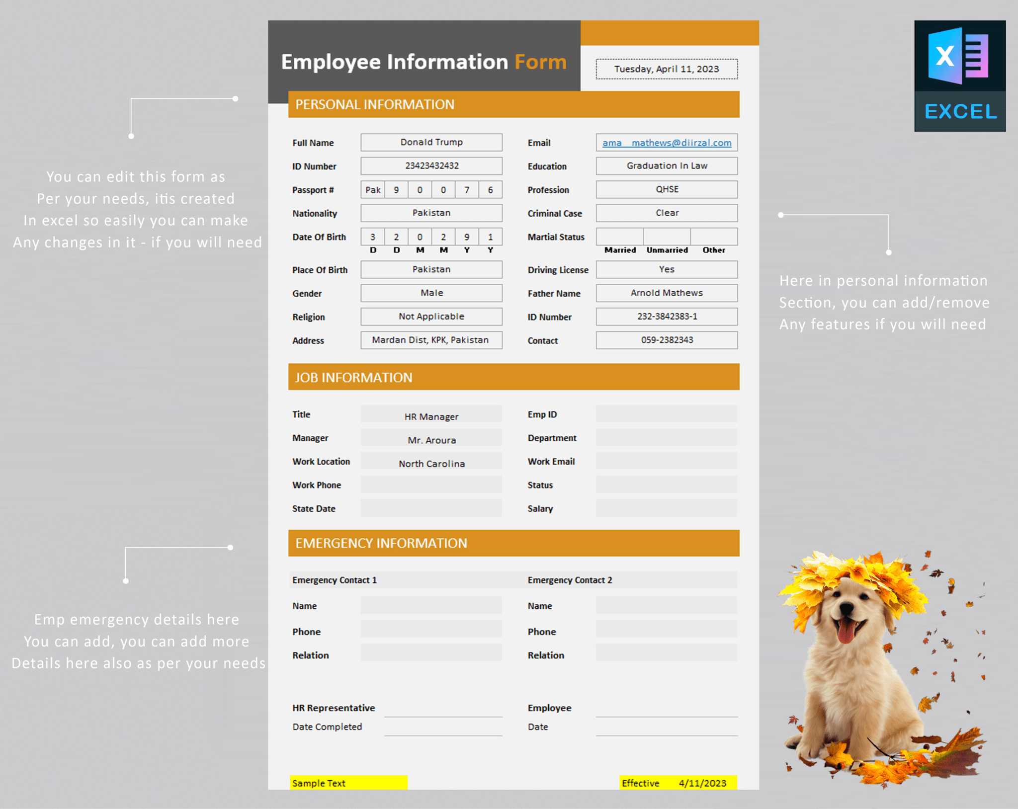 Employee Information Form Template – Editable HR Data Collection