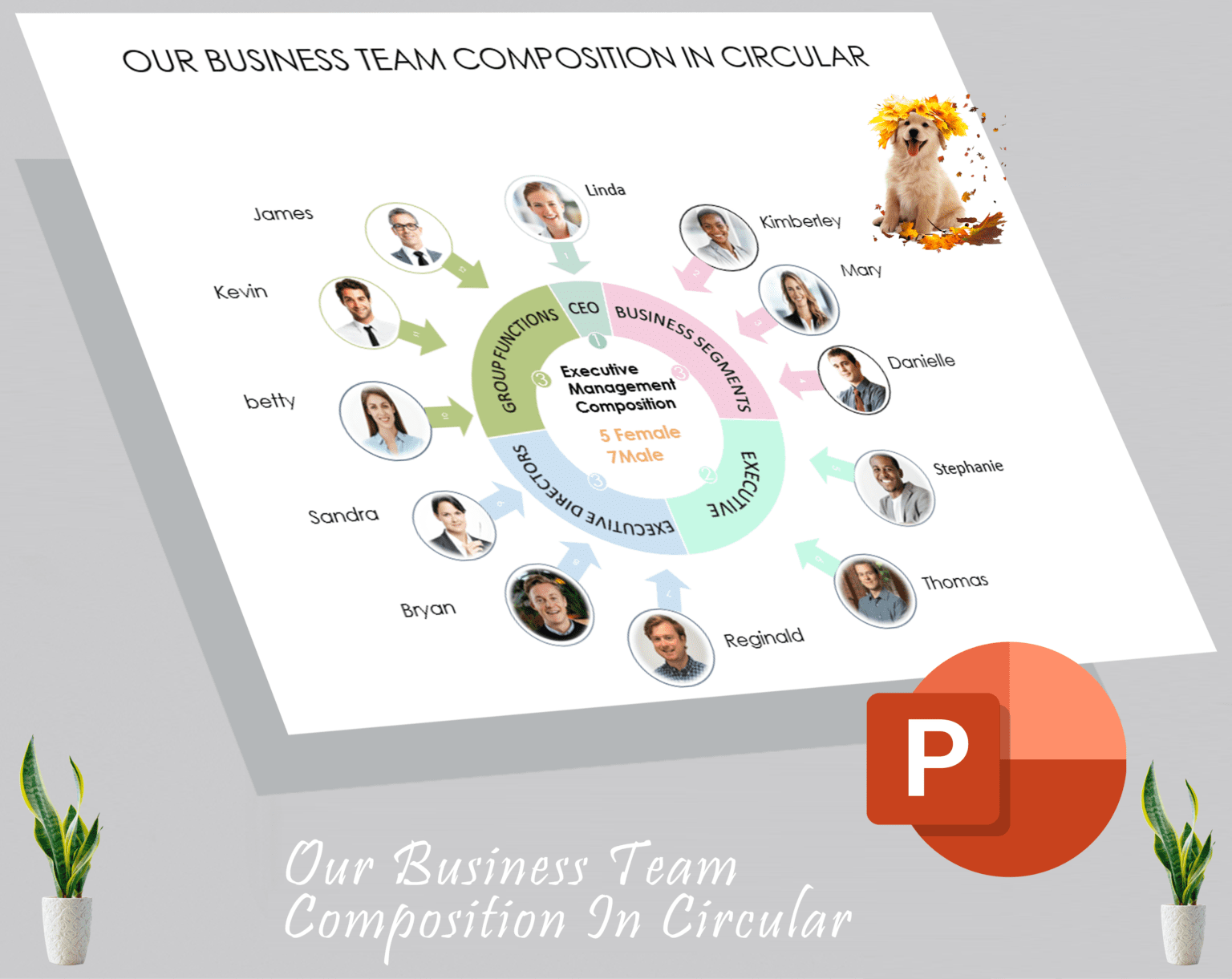 Business Team Composition In circular - Diirzal