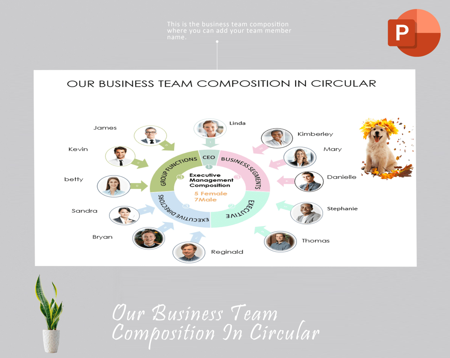 Business Team Composition In circular - Diirzal