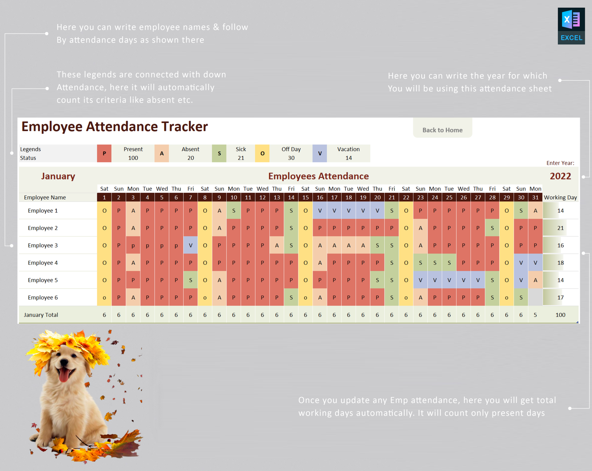 Employee Attendance Dashboard | Streamline Your Attendance Management