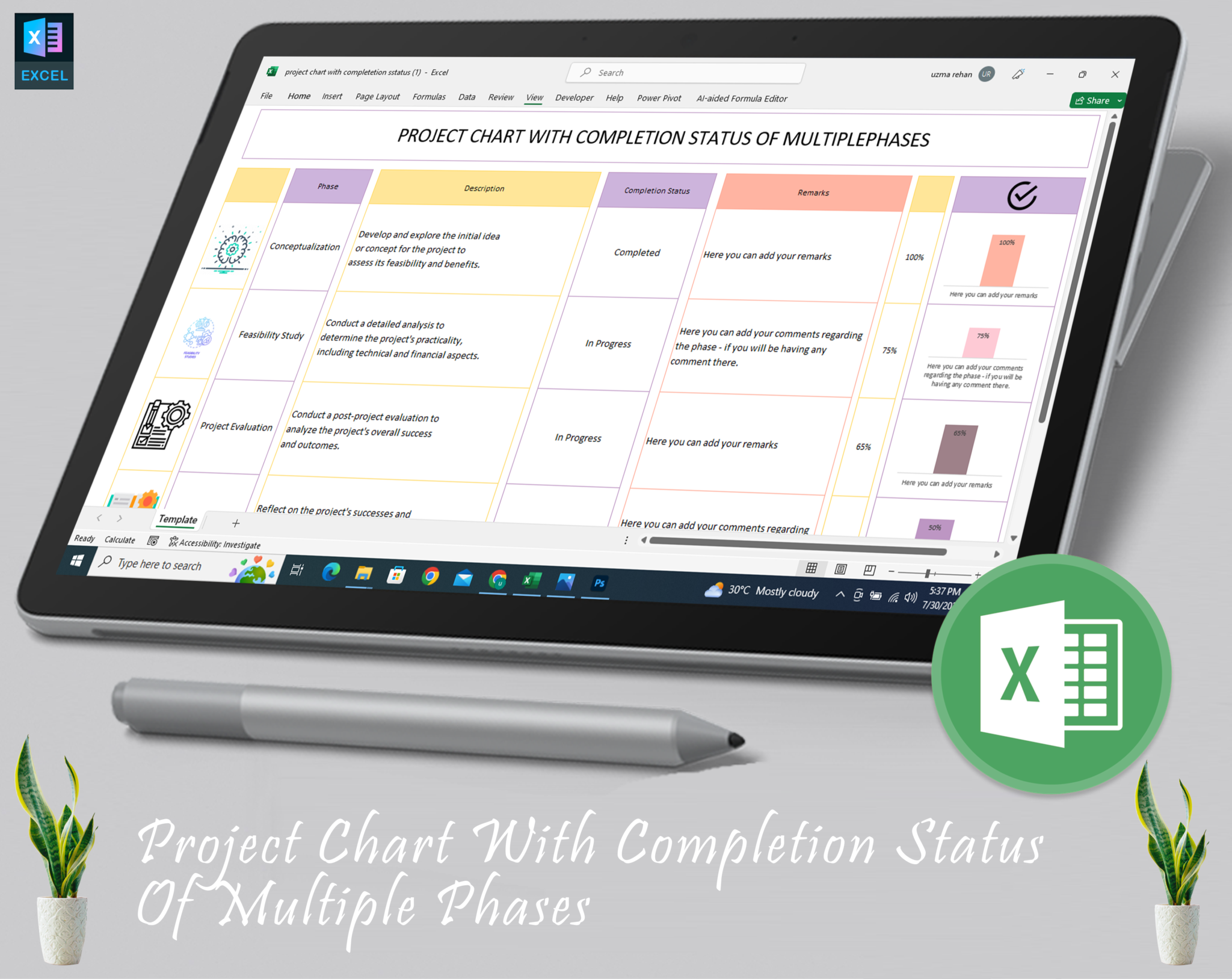 Project Management Chart Excel Template for Milestone & Phase Tracking